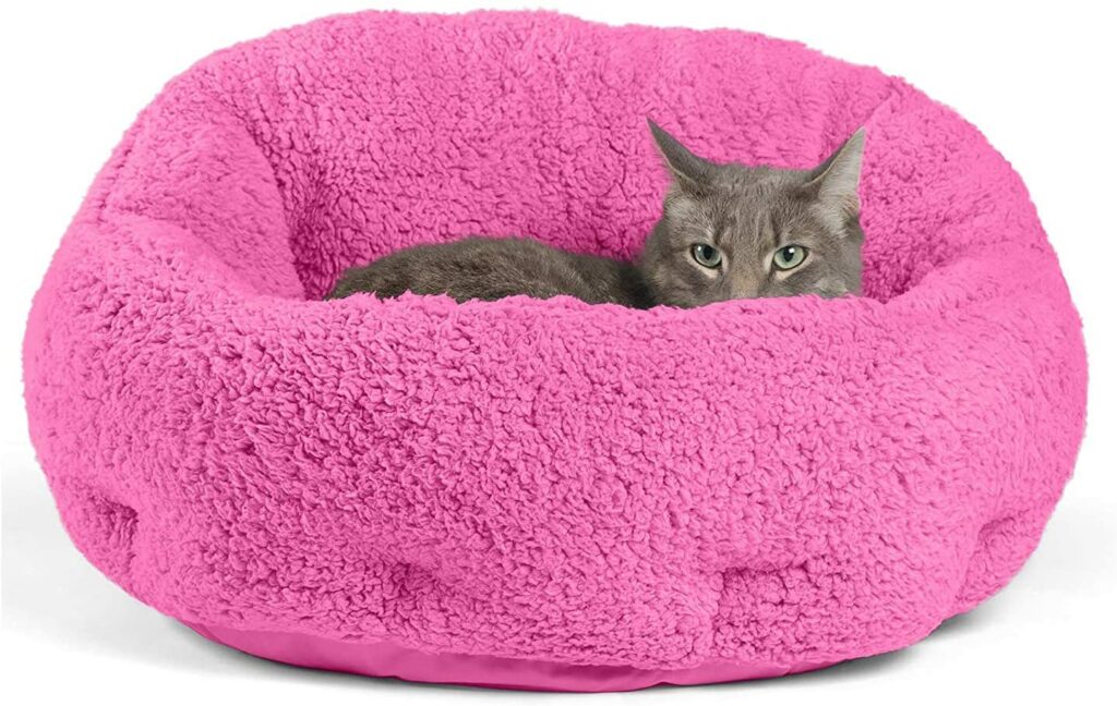 fuschia poof bed