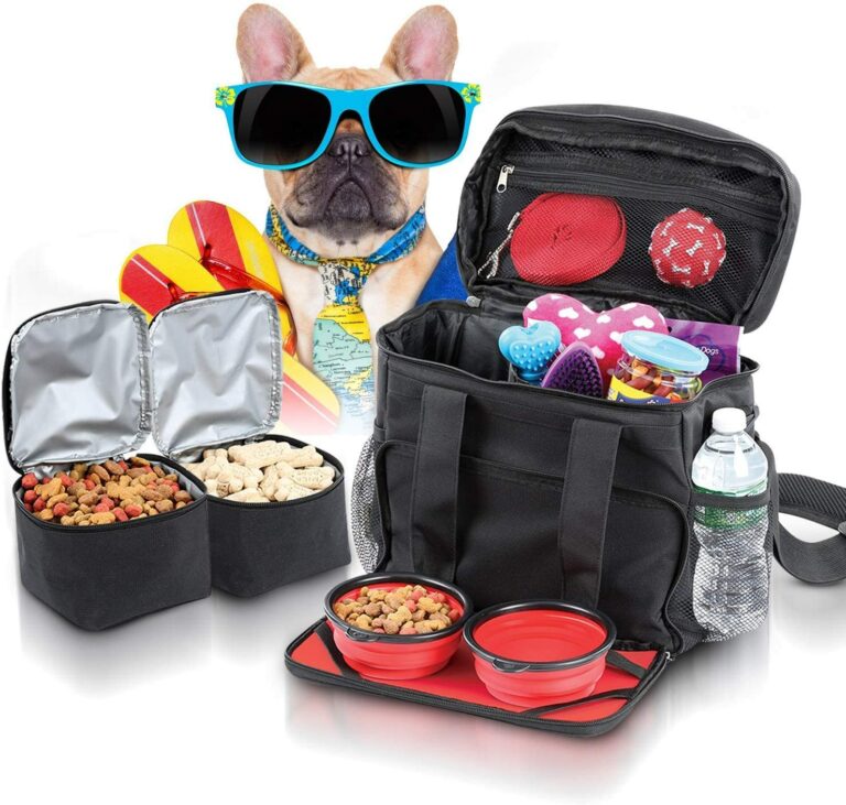 Black summer dog suitcase